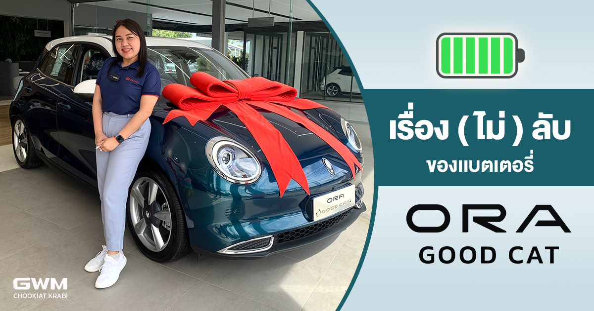 เรื่อง ( ไม่ ) ลับ ของเเบตเตอรี่ Ora Good Cat - GWM Krabi